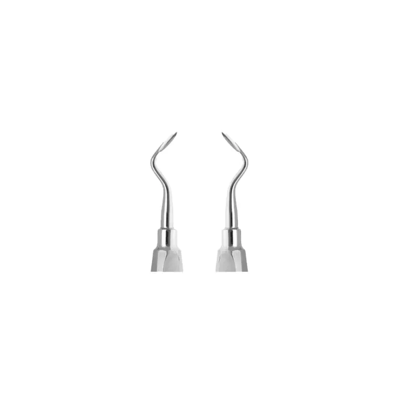 Curved Apexo Right And Left | Toothpick Egypt